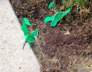 MMeM, Vol. 9 Issue 63 – 2nd day – Midwestern Meditations